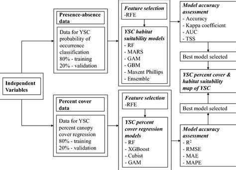 Schematic Workflow For Predicting Habitat Suitability Of Yellow
