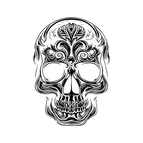 Skull Vector Art Skull Vector Skull Art Skull Draw Png And Vector