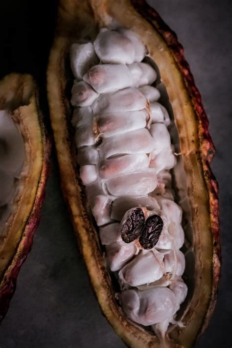 Какао боб | Food, Desserts, Pie