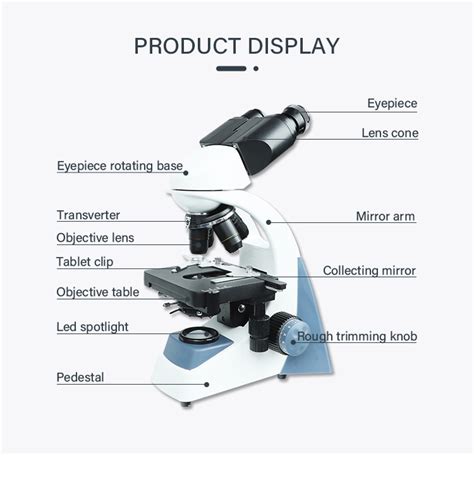 Microscope XSP SM Laboratory Biological Binocular Microscop