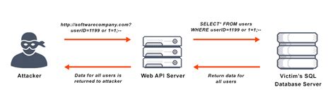 Web Security 101 Understanding Sql Injection Completely By Ali