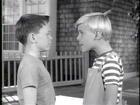 Dennis The Menace Season Three DVD Talk Review Of The DVD Video