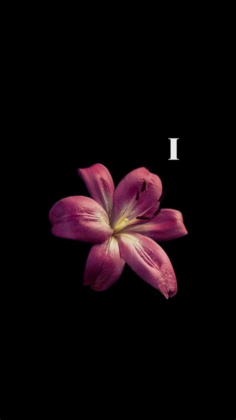 Flower Wallpaper I Fiori Iniziali Sfondi