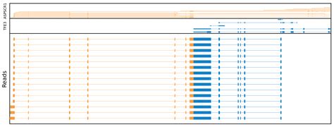 The Power Of Accurate Long Read Rna Sequencing For Fusion Gene Detection In Cancer Research Pacbio