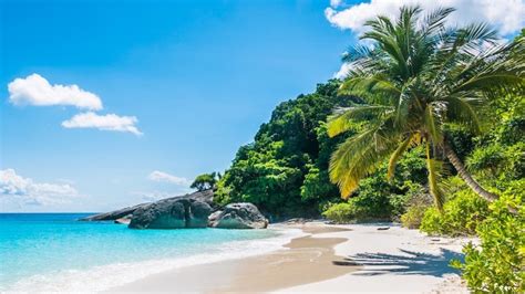 Названы самые популярные среди россиян страны для путешествий в 2024 году