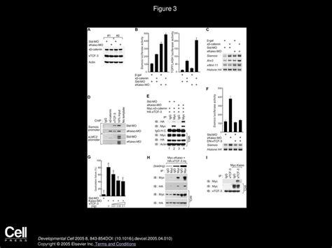 Volume Issue Pages June Ppt Download