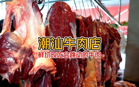 潮汕会跳动的牛肉鲜切现吃 一片顶人家两片 又厚又大 重点是便宜 确定不来潮汕薅羊毛 东麦Yo 东麦Yo 哔哩哔哩视频