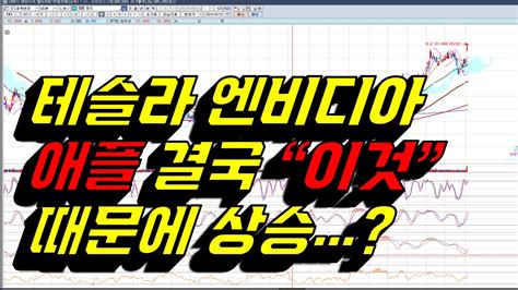 테슬라 엔비디아 애플 결국 이것 때문에 상승 Youtube