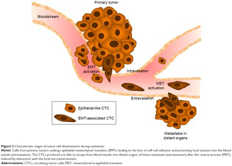 Is Small Smarter Nanomaterial Based Detection And Elimination Of Circ