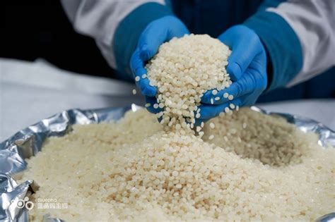 Other Plastic Repro Pellets Polyhydroxyalkanoates Pha——biopolymer