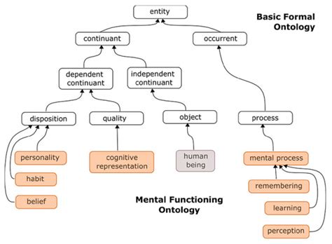 Mapping The Patients Experience An Applied Ontological Framework For