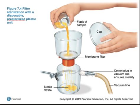Electron Geometry Flashcards Quizlet