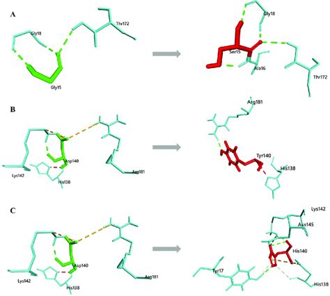 Non Bonding Residual Interaction Analysis Of Native And Mutant Cdk4 Download Scientific Diagram