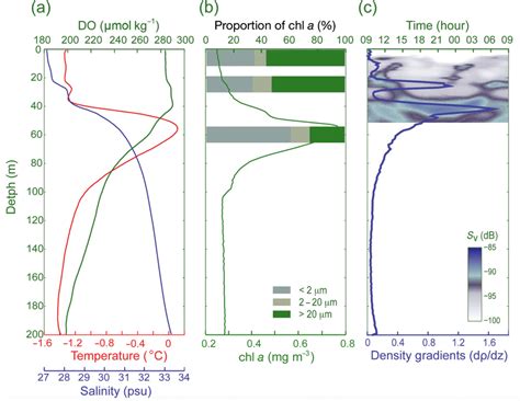 A Vertical Profiles Of Averaged Potential Temperature Salinity And