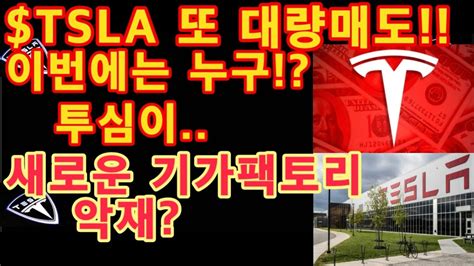 Tsla 또 대량매도 이번에는 누구 테슬라 새로운 기가팩토리는 악재 테슬라 10억달러 초기투자 Tesla 주가 테슬라 투자 Youtube