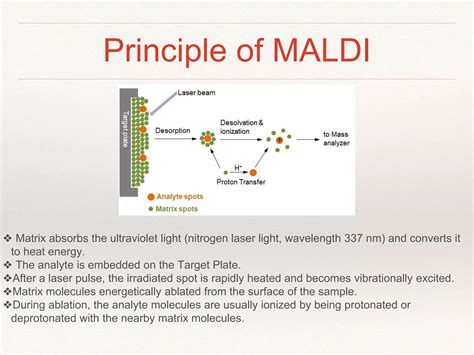 Maldi Tof Mass Spectrometry Pptx