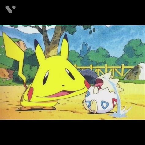 귀엽고 웃긴 피카츄 짤 ㅋㅋㅋ Youtube