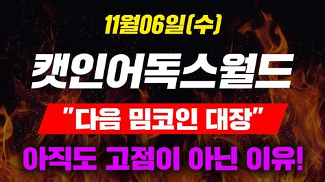 긴급속보 11월06일수캣인어독스월드다음 밈코인 대장아직도 고점이 아닌 이유캣인어독스월드 캣인어독스월드코인 캣인어독스월드전망 Youtube