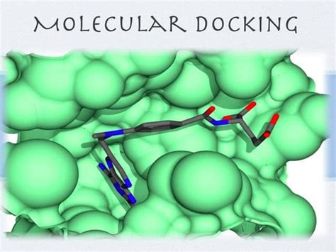 Autodock Made Easy With Mgl Tools Molecular Docking Pdf
