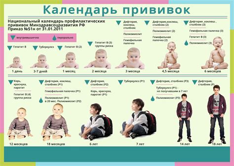 Календарь прививок