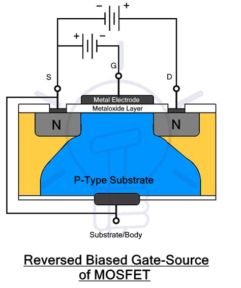 트랜지스터 유형 Bjt Fet Jfet Mosfet Igbt 및 특수 트랜지스터 Electron Fmuser Fm