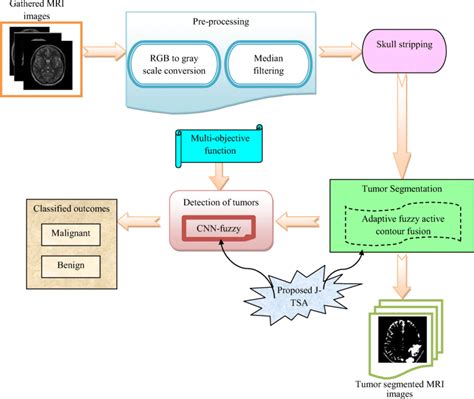 Proposed Brain Tumor Detection Model Download Scientific Diagram