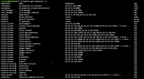 BUG Waiting For For Ingress Istio Ingress Istio System Failed