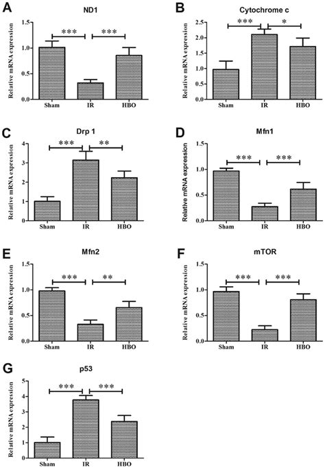Statistical Analysis Of Reverse Transcription Quantitative Pcr Results