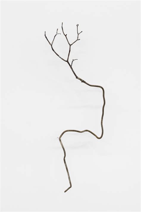 Sara Bjarland — Rebar Extensions