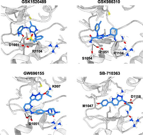 In Silico Docking Poses Of The Four Antischistosomal Inhibitors In The Download Scientific
