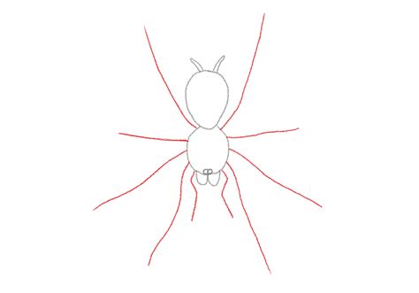 How To Draw A Spider Design Babe