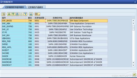 sap揭秘者 怎么查看sap 版本及s4 hana的版本 sap版本 csdn博客