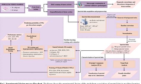 Figure 1 From Artificial Neural Network In The Discrimination Of Lung Cancer Based On Infrared