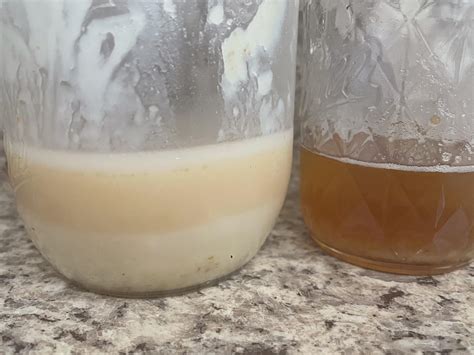 Fat Jar Vs Shaded Jar At Deloris Colvin Blog