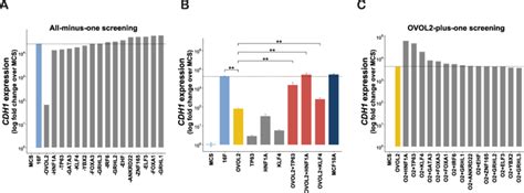 Identification Of Tf Combinations That Induce E Phenotype In