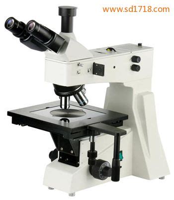 微分干涉相衬显微镜 TMV302DIC价格 时代仪器现货供应使用说明 山东仪器仪表网专业销售