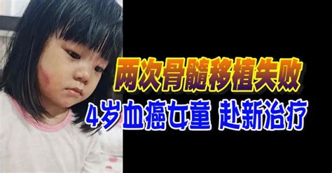 两次骨髓移植失败 4岁血癌女童 赴新治疗 狮城新闻 新加坡新闻