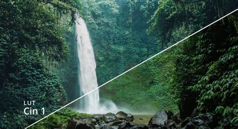 30 Cinematic Luts For Color Grading For Davinci Resolve Davinci Resolve Color Grading 30