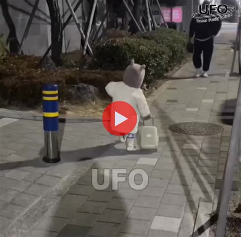 아빠가 무시하고 지나갔을때 아이반응 유머 움짤 이슈 에펨코리아