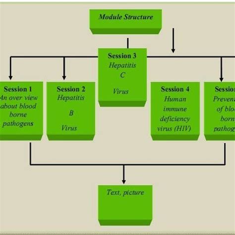 Illustrates The Module Structure Plan Which Consisted Of A Six Text Download Scientific