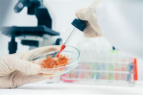 과학자는 화학 물질 현미경 전 세계 모두를위한 과학 의학 또는 식품을 개발하기 위한 입력 데이터를 혼합하는 것과 같은 실험 과학에 대한 특정 활동입니다 과학 배경 Stem