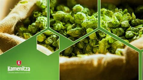 Днес представяме първия за Каменица АД Доклад за устойчиво развитие в който показваме