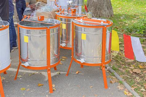 6 Best Honey Extractors For Beginners In 2024 Bee Professor