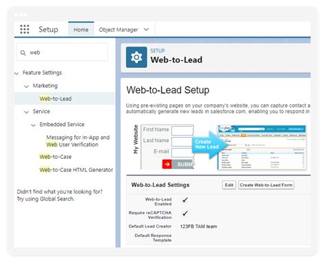 How To Capture Leads In Salesforce