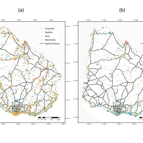 Distribution Of The A Total Number Of Occurrence Records N 69380
