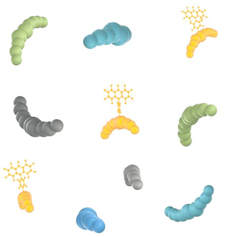 T Cell Epitope Mapping Pure Protein Llc