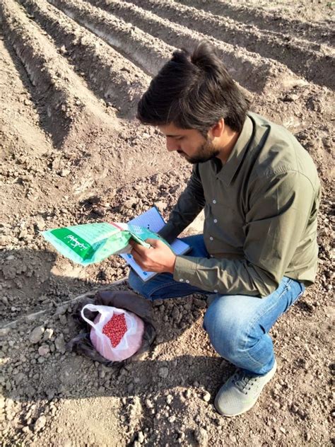 Asfar Ali On Linkedin Sayban International Brand Znica Extra Field