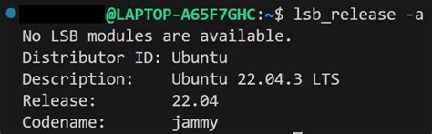 JavaUbuntuにOpenJDK をインストールしよう設定手順を紹介 テックパンプ