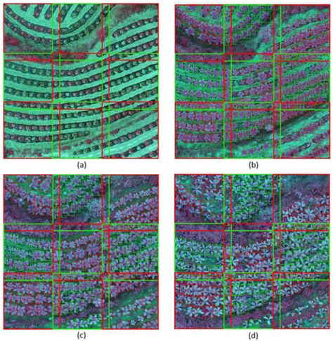 Automated Counting Of Tobacco Plants Using Multispectral Uav Data