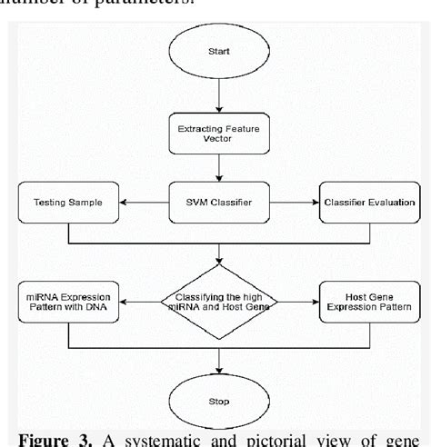 Figure 1 From Information Retrieval For Cancer Cell Detection Based On Advanced Machine Learning